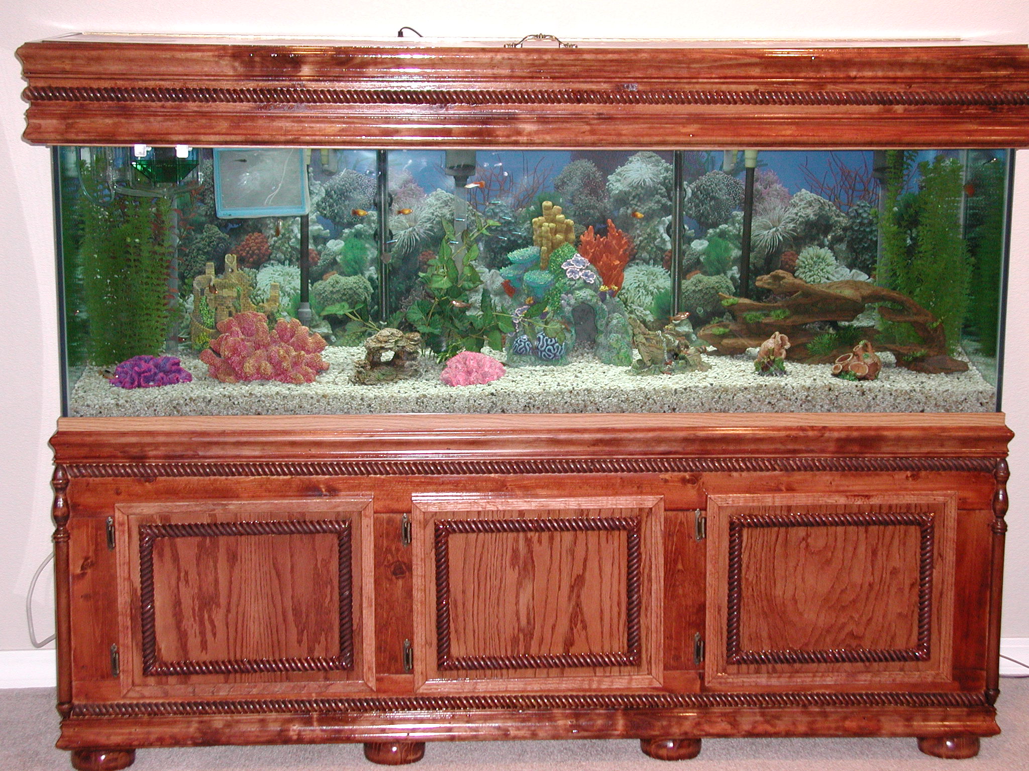 Samples of Fresh Water Fish Tanks - Only At Feldman's Aquarium Maintenance
